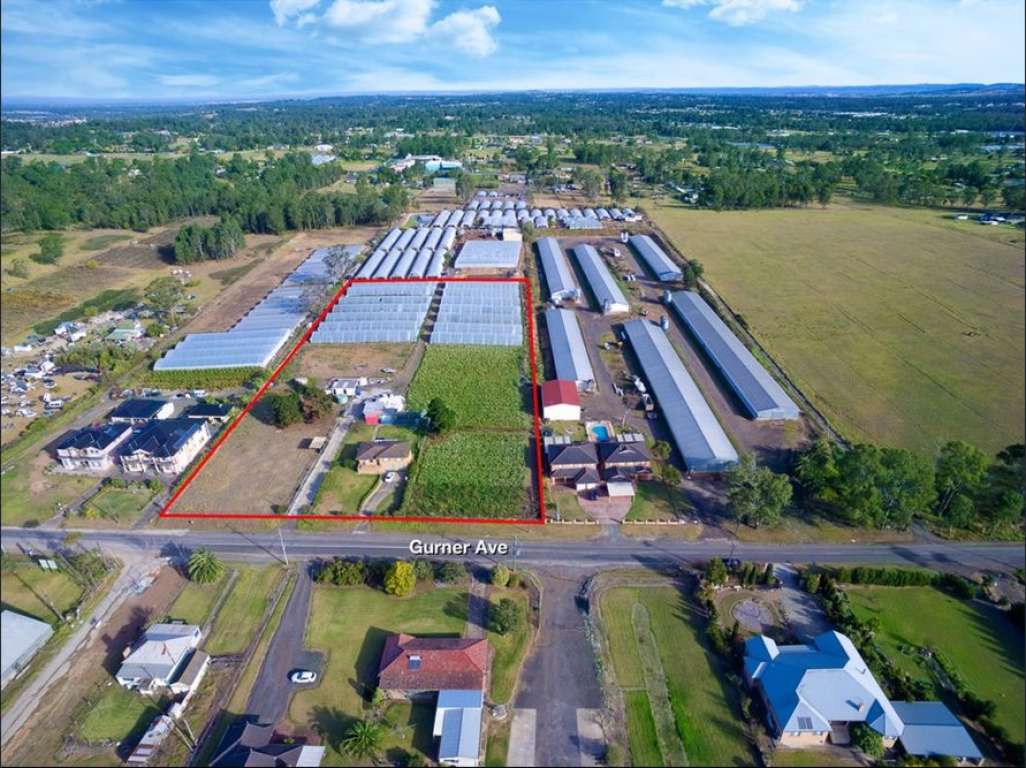 PAIG - PAIG Investment Group