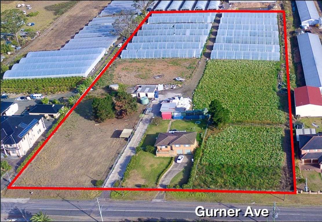 PAIG - PAIG Investment Group